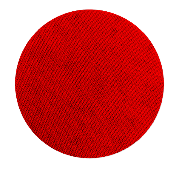 DIABLO DND050100H10I 5" Sand Demon™ 100-Grit Reusable Sanding Discs ...